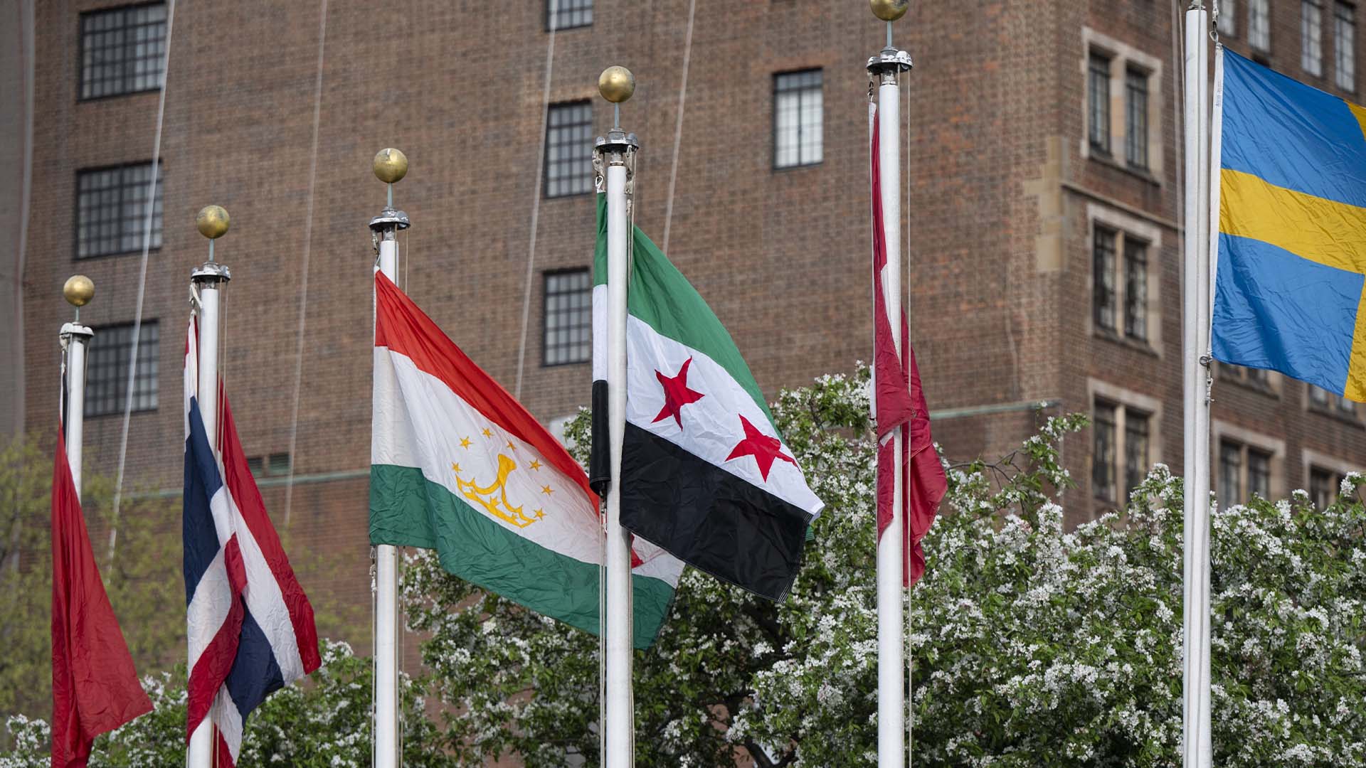 Syria’s New Flag: A Victory for the People at the UN.